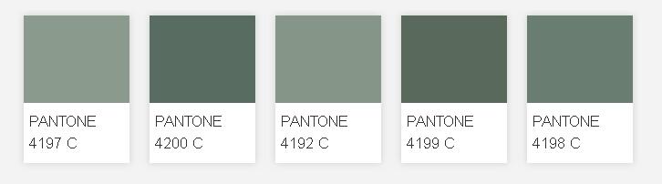 之前牛油果绿火了，现在午夜绿只会更火 - 千通彩色彩管理官网