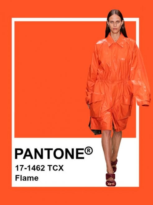 PANTONE单色配色，新一季秋冬流行趋势 - 千通彩色彩管理官网