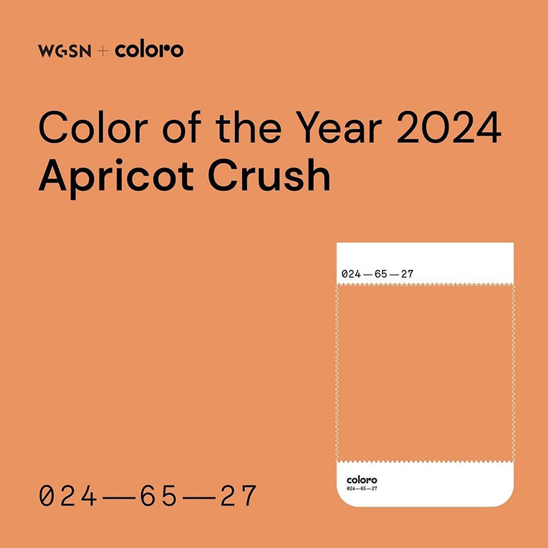 COLORO X WGSN联合发布2024 年度色彩：APRICOT CRUSH - 千通彩色彩管理官网