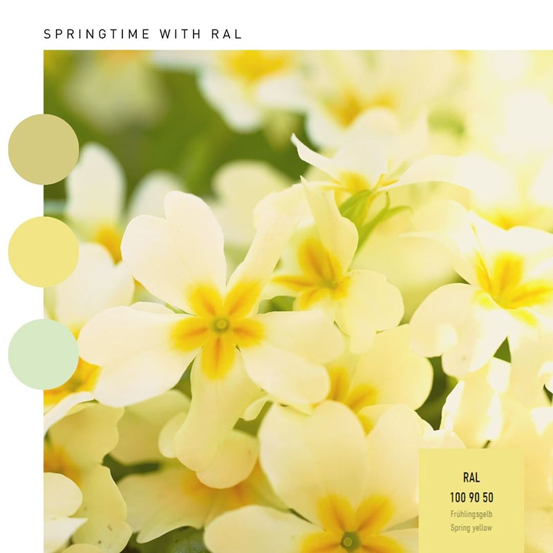 劳尔RAL色卡里的春天，快来看~ - 千通彩色彩管理官网