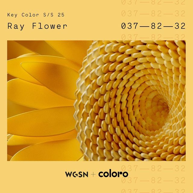 WGSN × Coloro揭晓2025年度色彩以及春夏四大关键色 - 千通彩色彩管理官网
