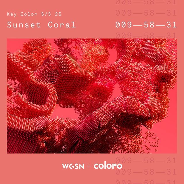 WGSN × Coloro揭晓2025年度色彩以及春夏四大关键色 - 千通彩色彩管理官网