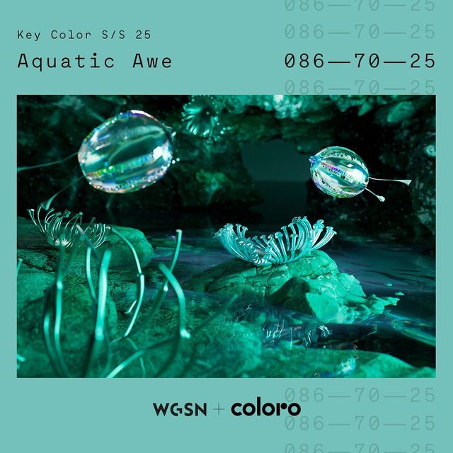 WGSN × Coloro揭晓2025年度色彩以及春夏四大关键色 - 千通彩色彩管理官网